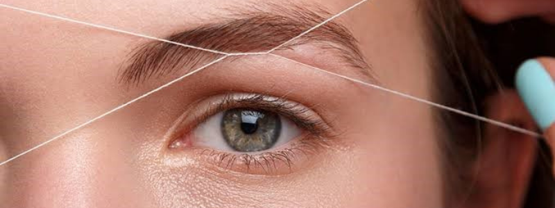 Your Highbrows - Riverton Forum